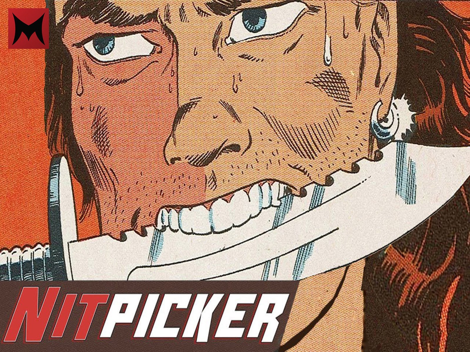 Amazon.co.jp: Nitpickerを観る | Prime Video