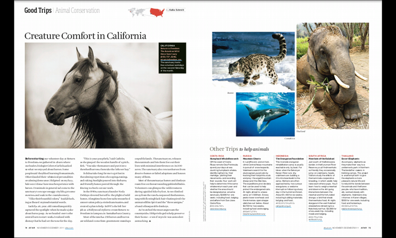 Zinio Reader Magazine:Amazon.it:Appstore for Android