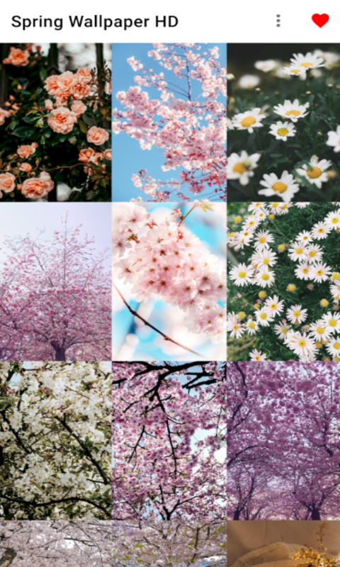 Spring Wallpapers:Amazon.in:Appstore for Android