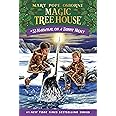 Amazon.com: Narwhal on a Sunny Night (Magic Tree House): 9780525648390 ...