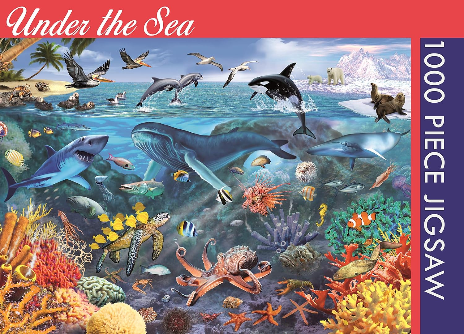 Amazon.com: Under The Sea Jigsaw Puzzle for Adults (1000 Pieces): Toys ...
