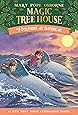Amazon.com: Dolphins at Daybreak (Magic Tree House, No. 9 ...