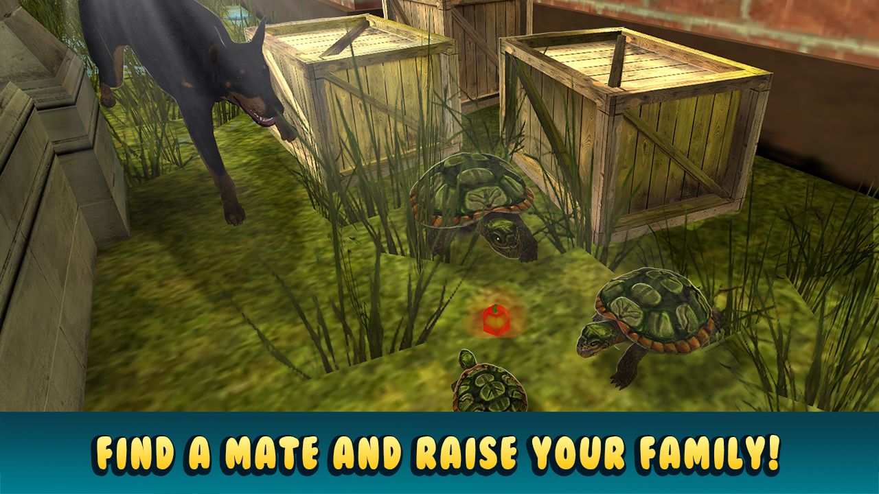 Turtle Simulator: Home Life:Amazon.ca:Appstore for Android