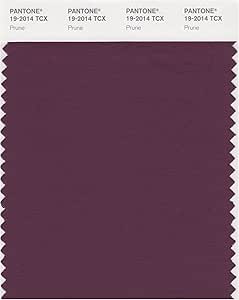 PANTONE Smart 19-2014X Color Swatch Card, Prune - House Paint - Amazon.com