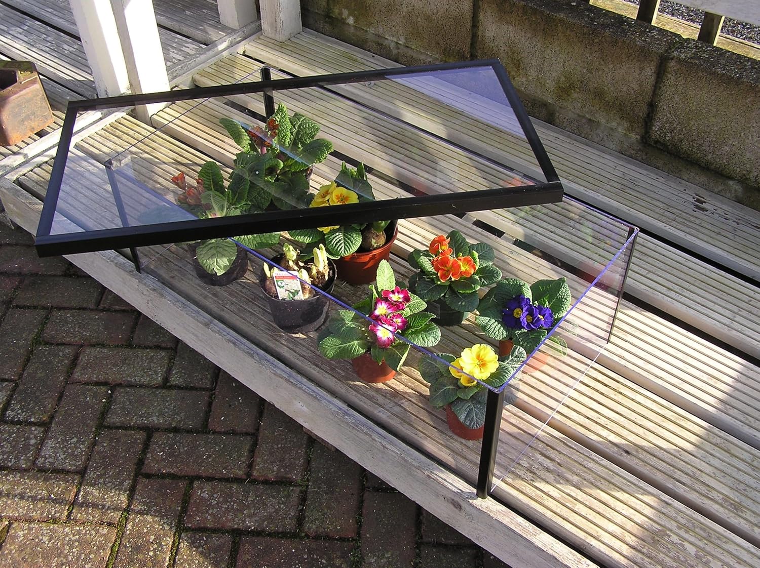 EASYFIX GARDEN SIZE CLOCHE- Highest Quality Polycarbonate UV Protected ...