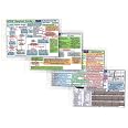 ACLS (Advanced Cardiac Life Support - New Updates) Survival Card Quick ...