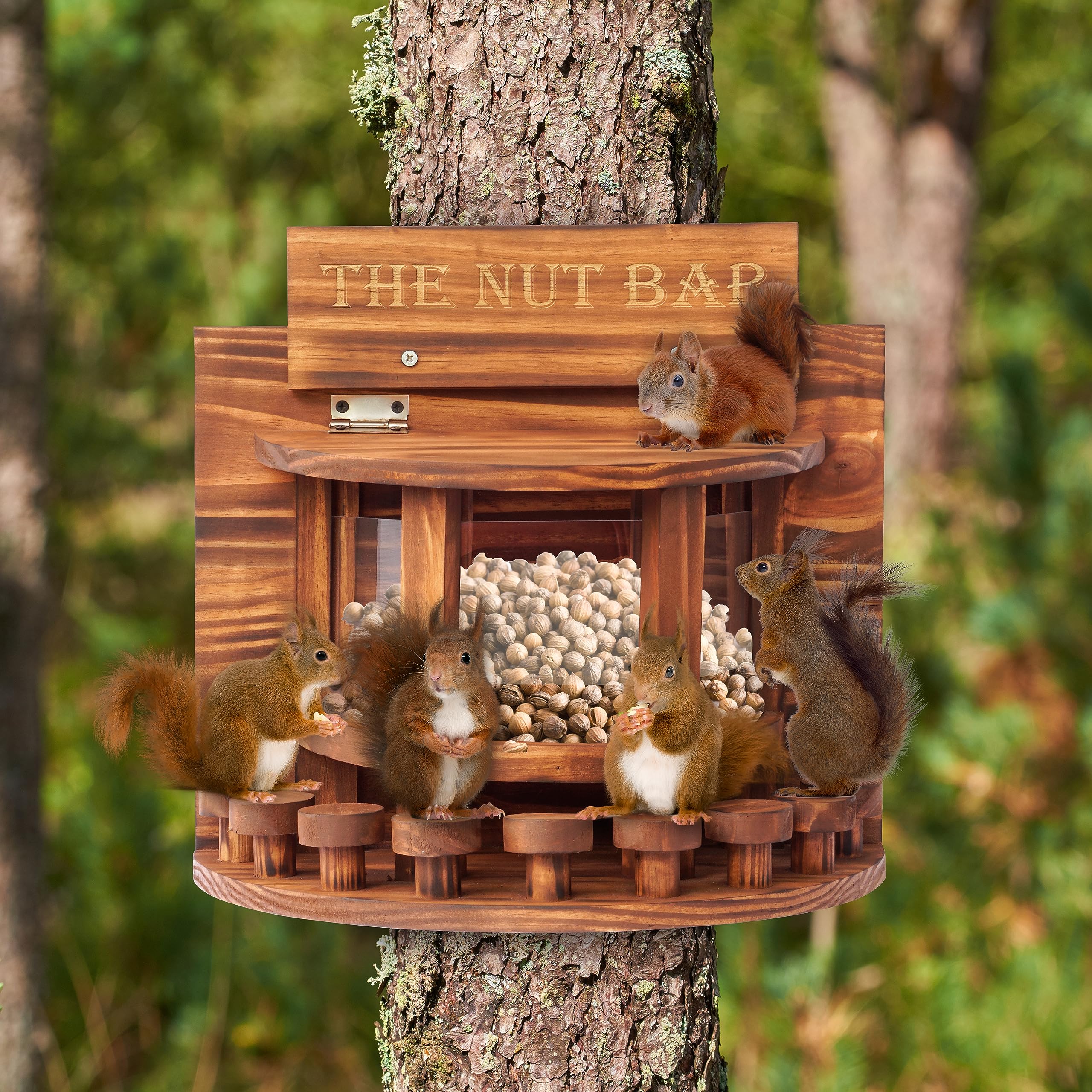 Mua MIXUMON Crescent Squirrel Feeder Table, Wooden Squirrel Picnic ...