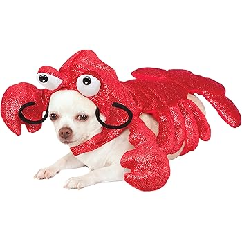 Amazon.com : Casual Canine Lobster Paws Dog Costume, Large (fits ...