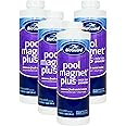 Amazon.com : BioGuard Pool Magnet Plus (1 qt) (4 pack) : Garden & Outdoor