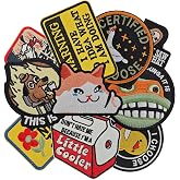 Amazon.com: JEFUZH 9 PCS Funny Patches with Hook and Loop, Embroidered ...