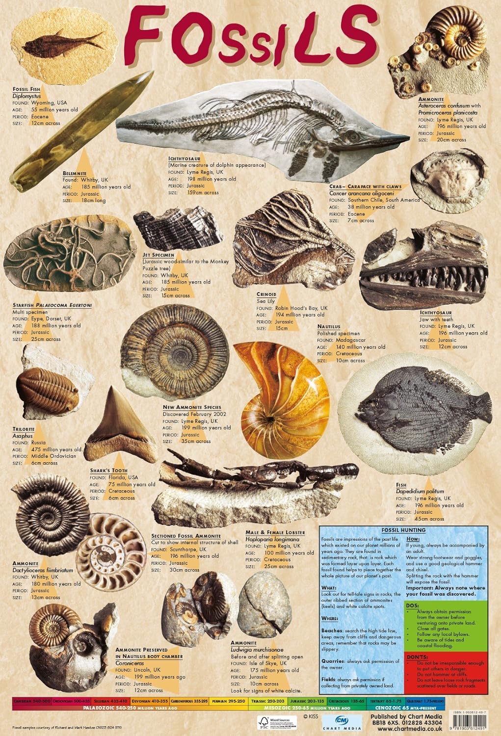 Educational FOSSILS Geology Science Poster/Wall Chart with Photographic ...