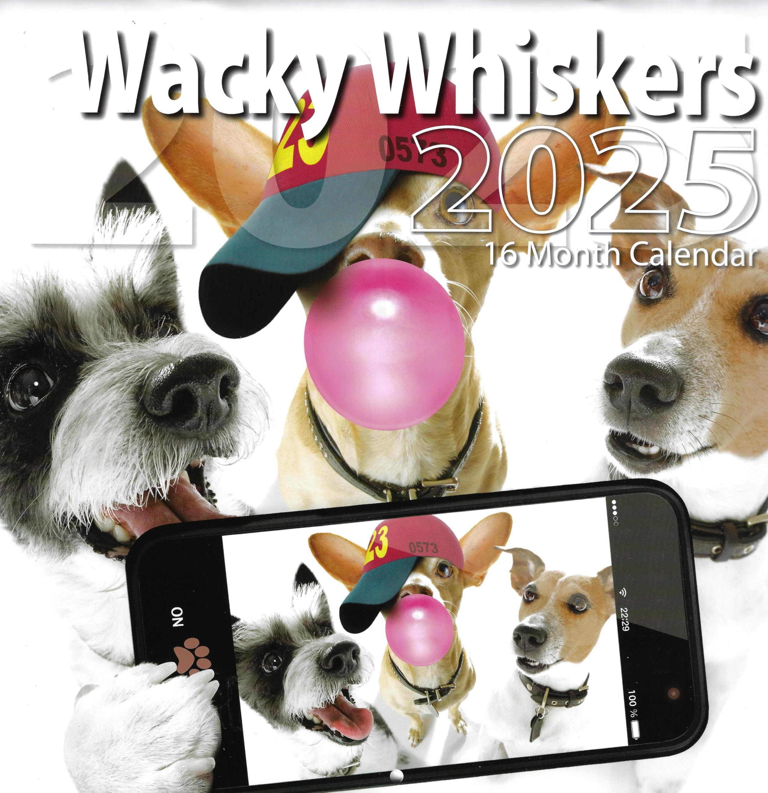Bachmann Press 2025 Wacky Whiskers Full Size Wall Calendar for Planning ...