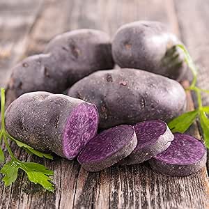 Amazon.com : Fingerling Potato Purple Peruvian - 10 Certified Organic ...