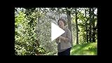 Amazon.com: Seeing Trees: Discover the Extraordinary Secrets of ...