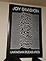Amazon.com: Poster Joy Division - Unknown Pleasures, 24in x 36in: Posters & Prints