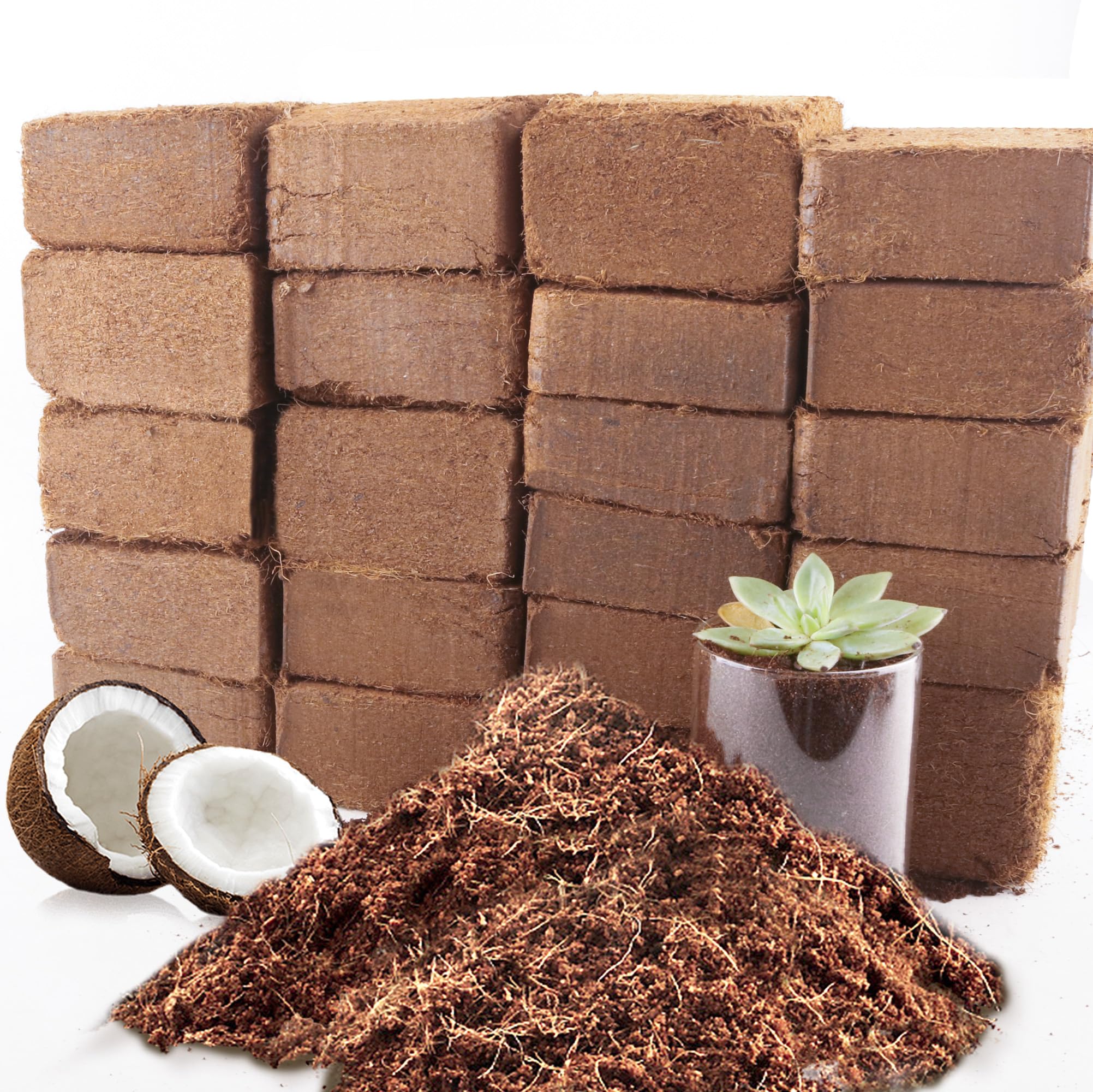 Mua Coco Coir Brick for Plants, 24 Packs 100% Natural Organic ...