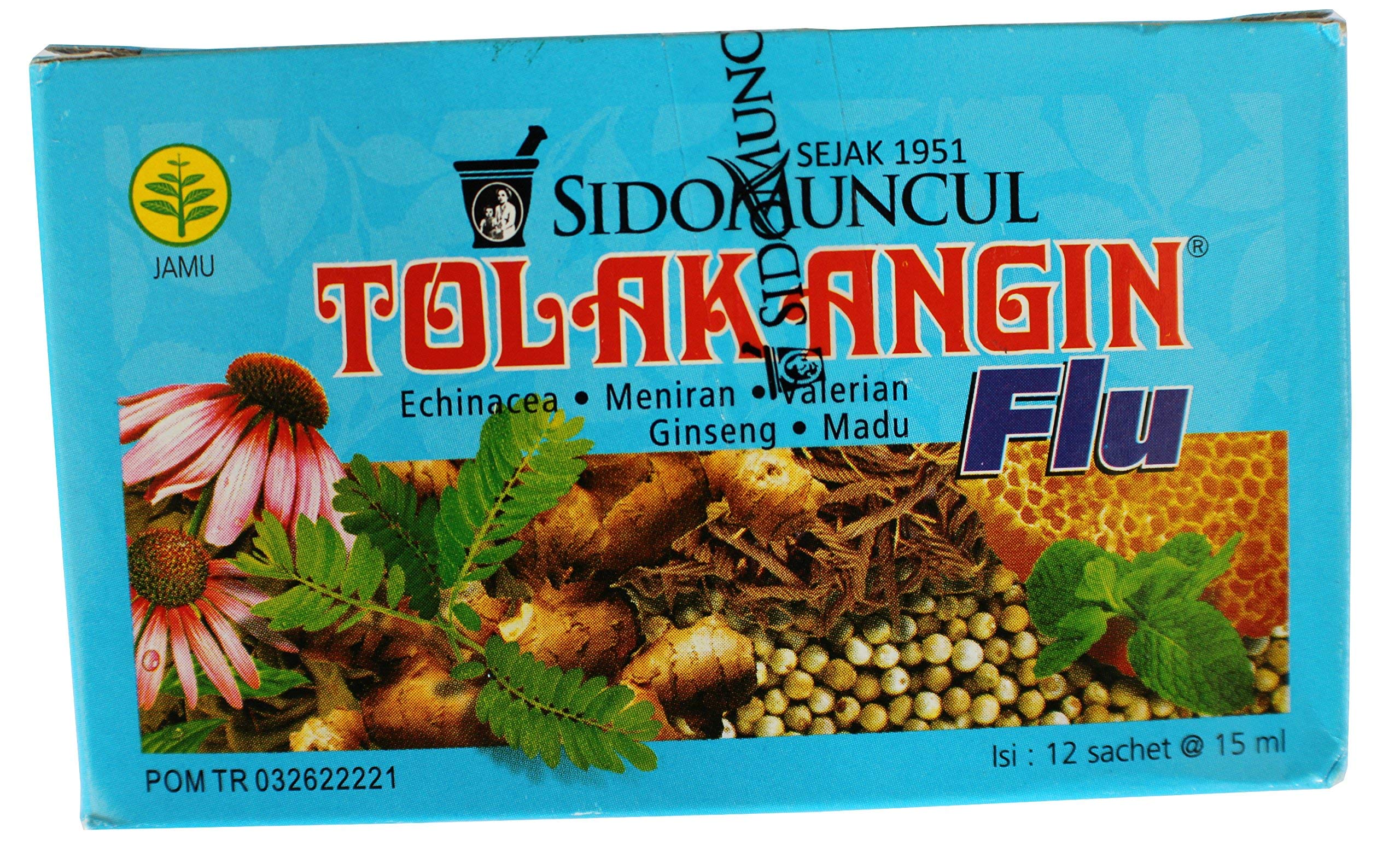 Mua Tolak Angin Flu - Indonesian Herbal Syrup for Cold Treatment 12 ...