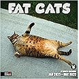 Amazon.com: RED EMBER Fat Cats 2025 Wall Calendar 12 Month | 12" x 24 ...