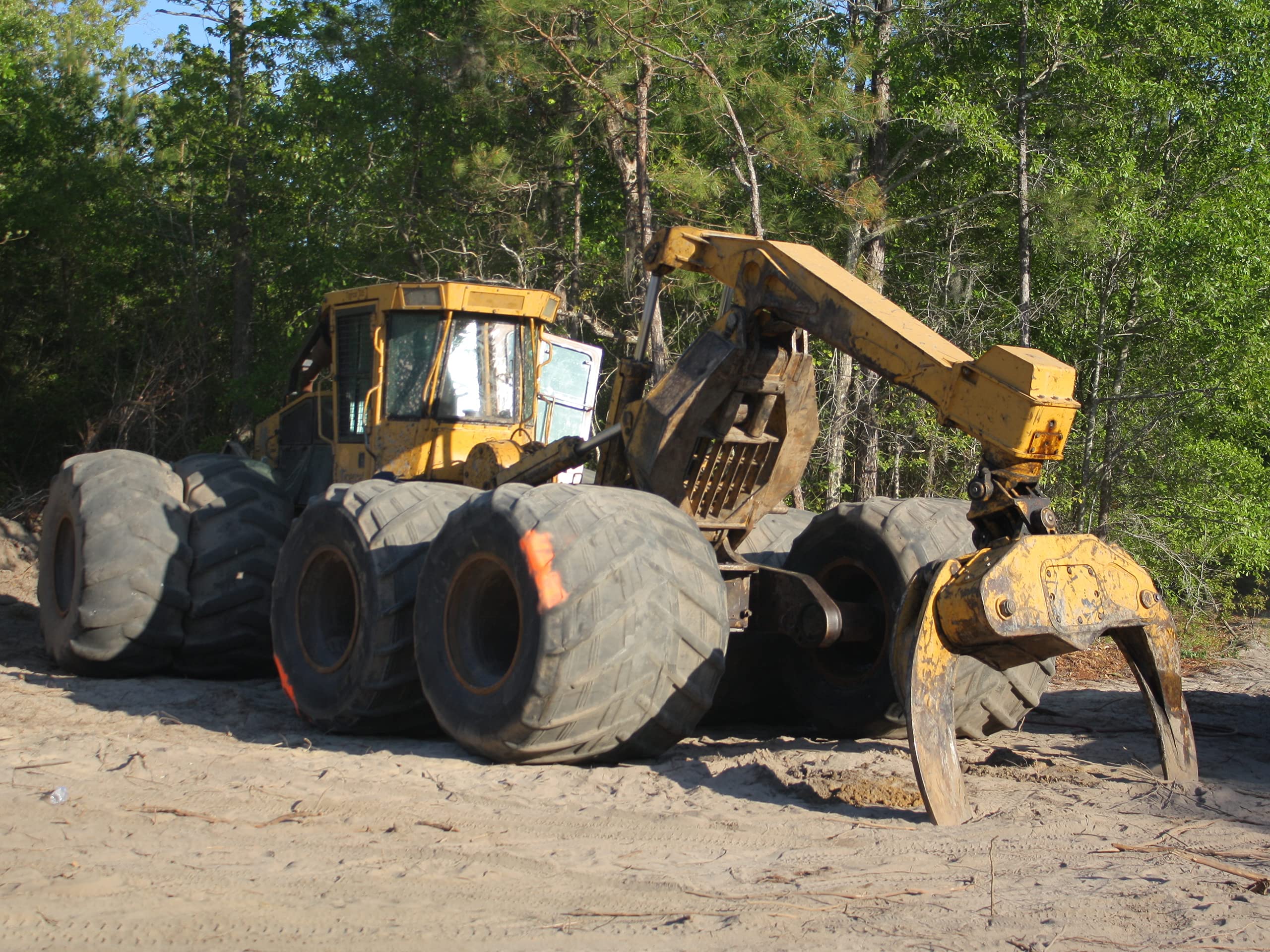 Watch Swamp Loggers - Season 1 | Prime Video