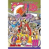 Amazon.com: One Piece, Vol. 110: 9781974758968: Oda, Eiichiro: Books