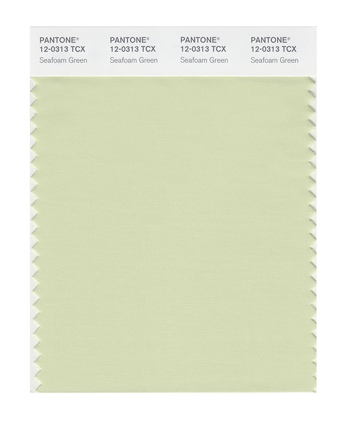 Amazon.com: PANTONE Smart 12-0313X Color Swatch Card, Seafoam Green ...
