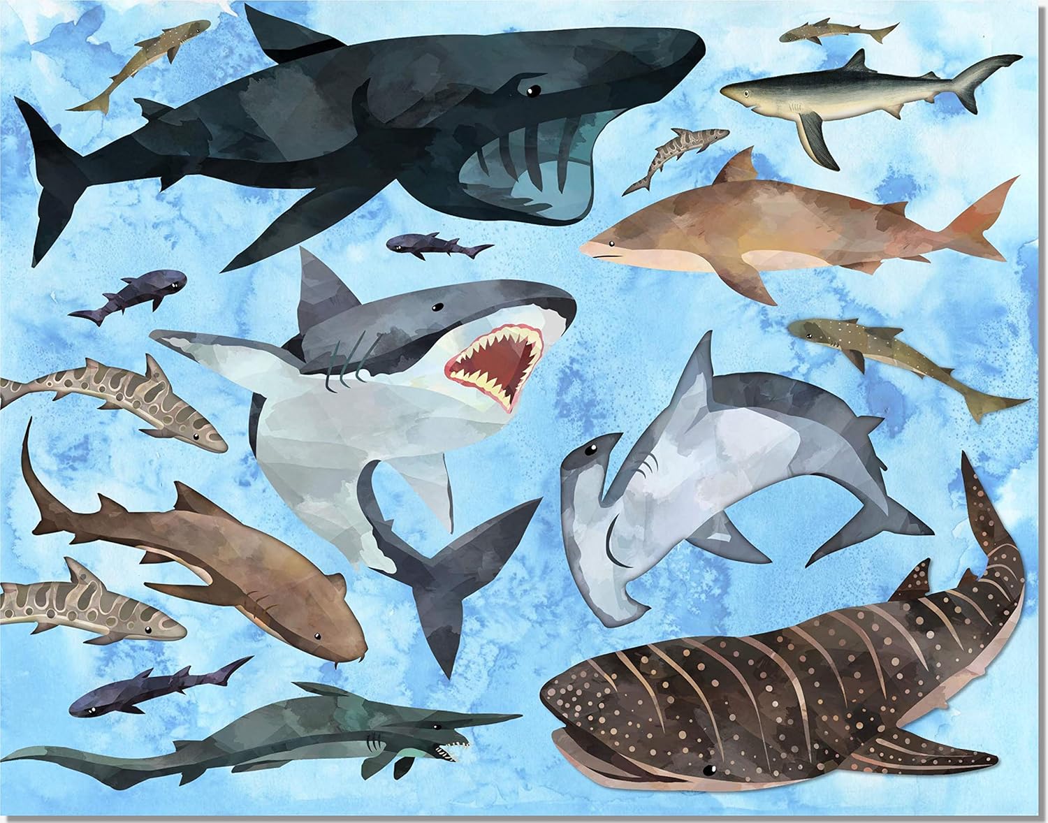 Amazon.com: Shark Decor Wall Art - Kids Bedroom Bathroom Print - 11x14 ...