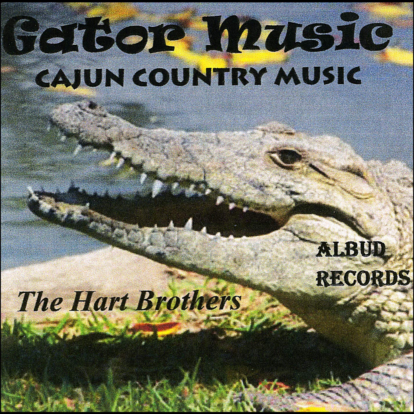 Gator Music - Hart Brothers: Amazon.de: Musik