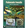 Paleozoic Fossils (Schiffer Book for Collectors): Stinchcomb, Bruce L ...