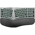 Amazon.com: Nulea RT05 Wireless Ergonomic Keyboard, Split Keyboard with ...