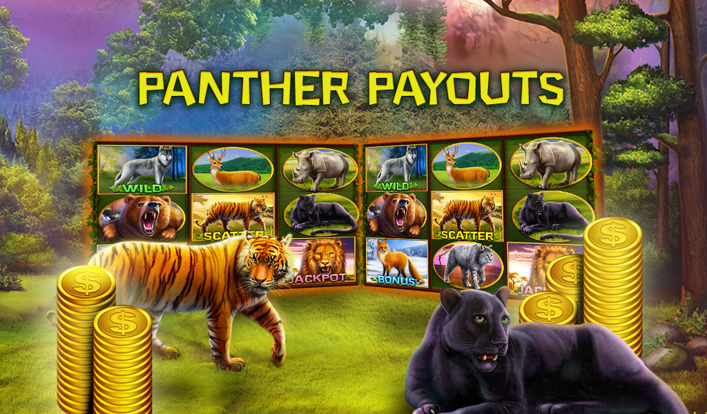 Amazon.com: Wild Animals Slots: Appstore for Android