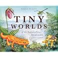 Tiny Worlds of the Appalachian Mountains: An Artist's Journey: Haizlett ...