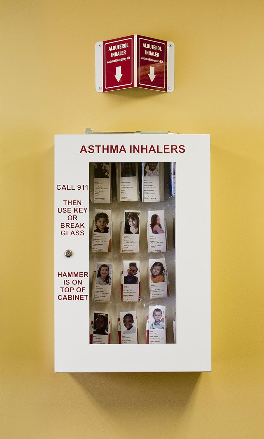 Amazon.com: Inhaler-SHED Asthma Inhaler Cabinet for Nurse’s Offices ...