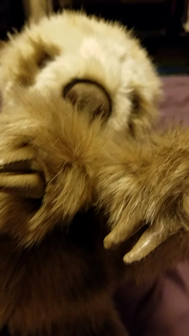 Amazon.com: Folkmanis Baby Sloth Hand Puppet: Toys & Games