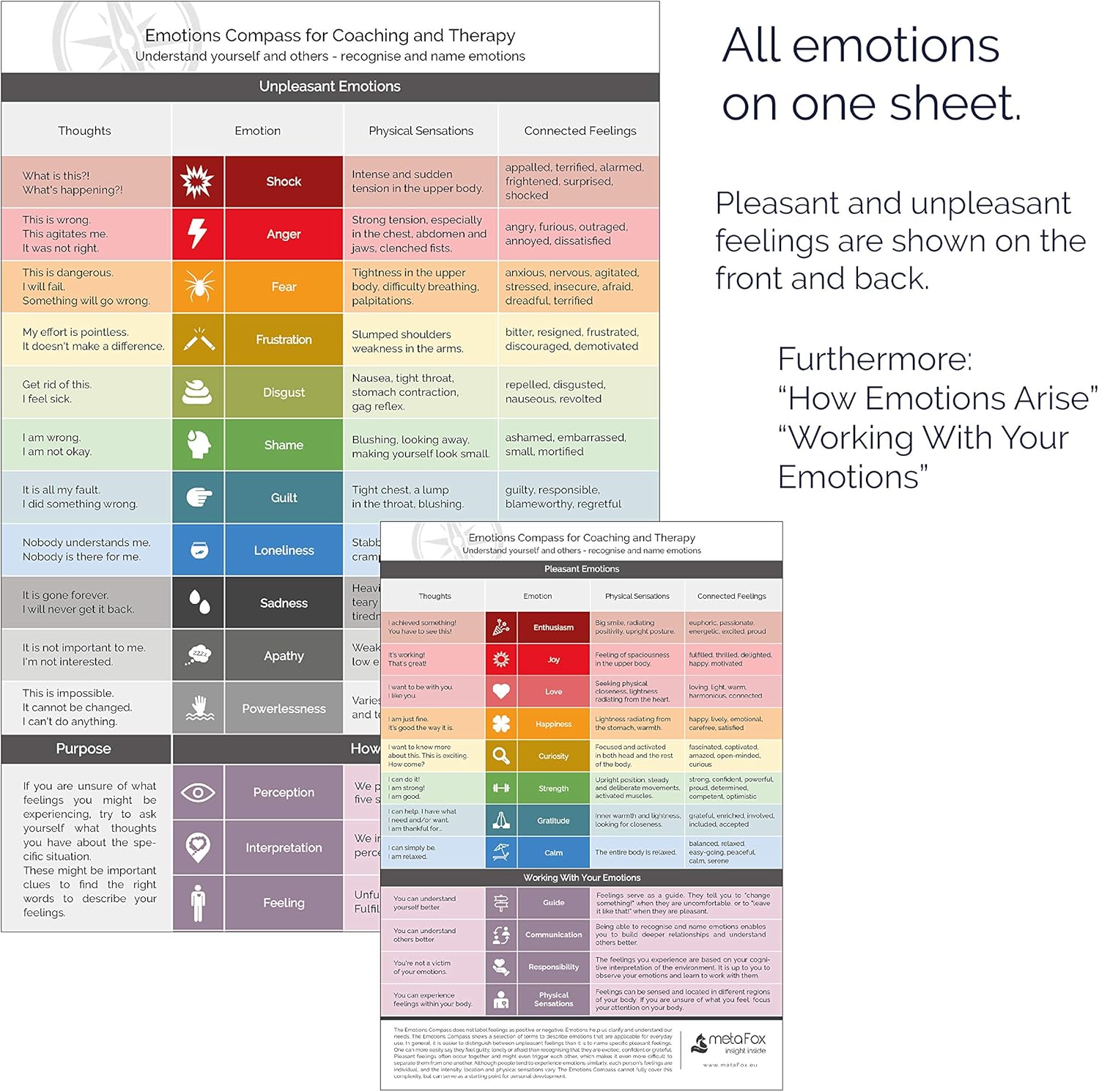 metaFox Emotions Compass A4 Paper Laminated Print for Coaching and ...