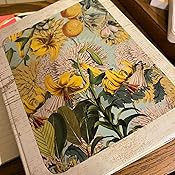 The Botanist's Sticker Anthology: DK: 9780744036725: Amazon.com: Books