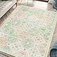 Amazon.com: Castage 5x7 Area Rugs Washable,Pink and Green Rug for ...