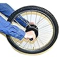 Amazon.com: Premium Bicycle Wheel Gyroscope, 20" Diameter - Angular ...