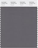Amazon.com: Pantone 16-3915 TCX Smart Color Swatch Card, Alloy: Home ...