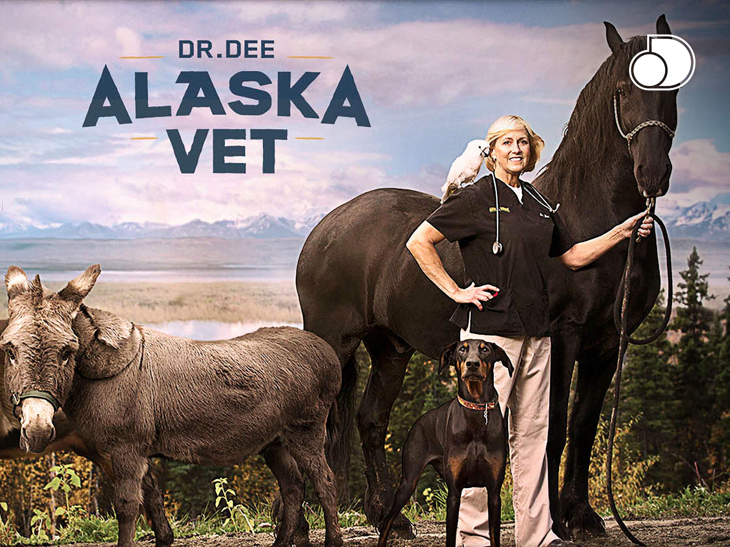 Watch Dr. Dee: Alaska Vet - Season 1 | Prime Video