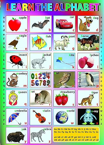 LAMINATED KNOW / LEARN YOUR ENGLISH ALPHABET (A-Z) CHILDREN KIDS ...