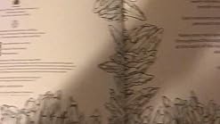 Amazon.com: Geomorphia: An Extreme Coloring and Search Challenge ...