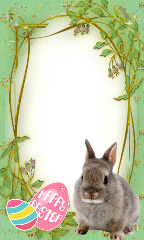 Easter Bunny Pictures Frame : Amazon.es: Apps y Juegos