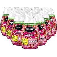 Amazon.com: Renuzit Adjustable Air Freshener Gel, Forever Raspberry, 7 ...