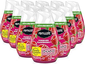 Amazon.com: Renuzit Adjustable Solid Gel Air Freshener, Forever ...
