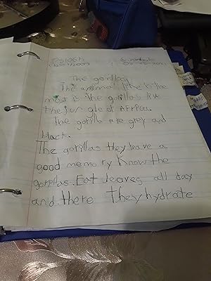 Handwriting Without Tears Double-Lined Notebook Nepal | Ubuy