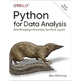 Python for Data Analysis: Data Wrangling with Pandas, NumPy, and ...