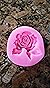 Amazon.com: BeeSpring 3D Big Rose Flower Cake Mold Silicone Fondant ...