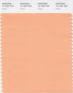 PANTONE Smart 14-1227X Color Swatch Card, Peach - Wall Decor Stickers ...