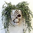 Amazon.com : Dolkgy Skull Wall Planter for Home Décor, Resin Skeleton ...