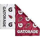 Amazon.com: Team Effort Arizona Cardinals 16" x 24" Face & Club Tri ...